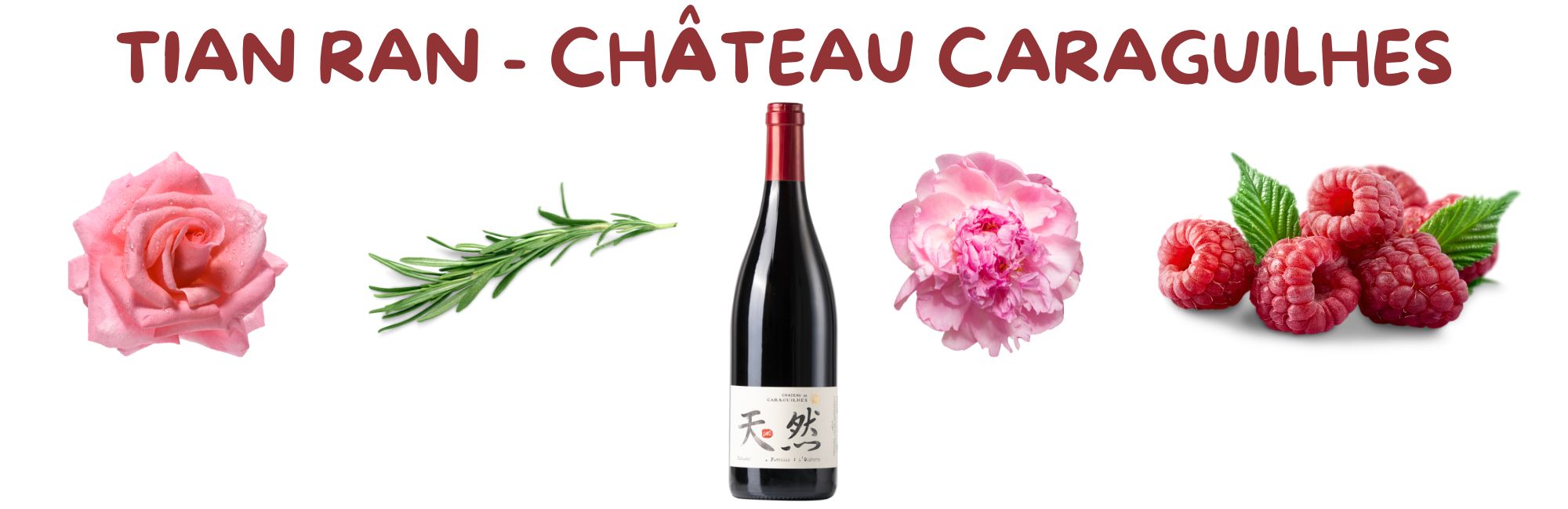 Vins coups de cœur d'avril - vins rouges / vins blancs - Cave aux cinq sens