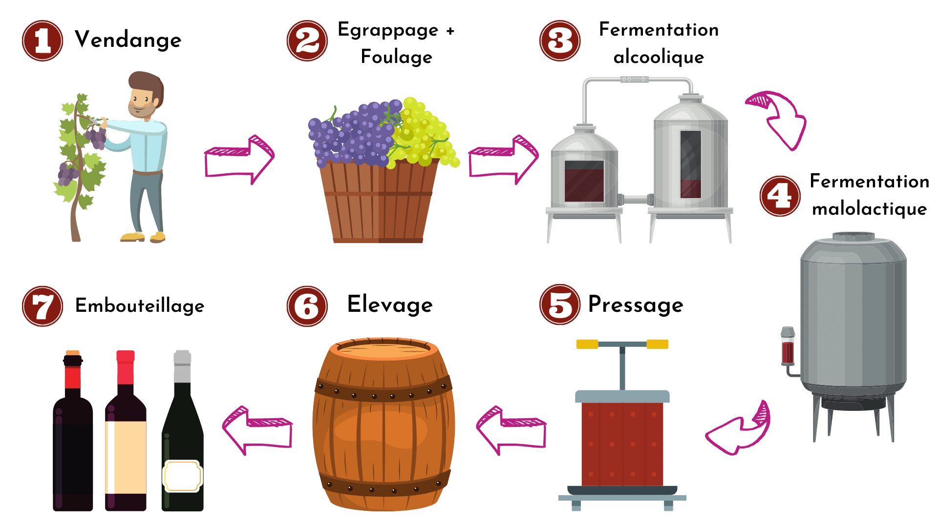 Comprendre les bases du vin - Cave aux cinq sens
